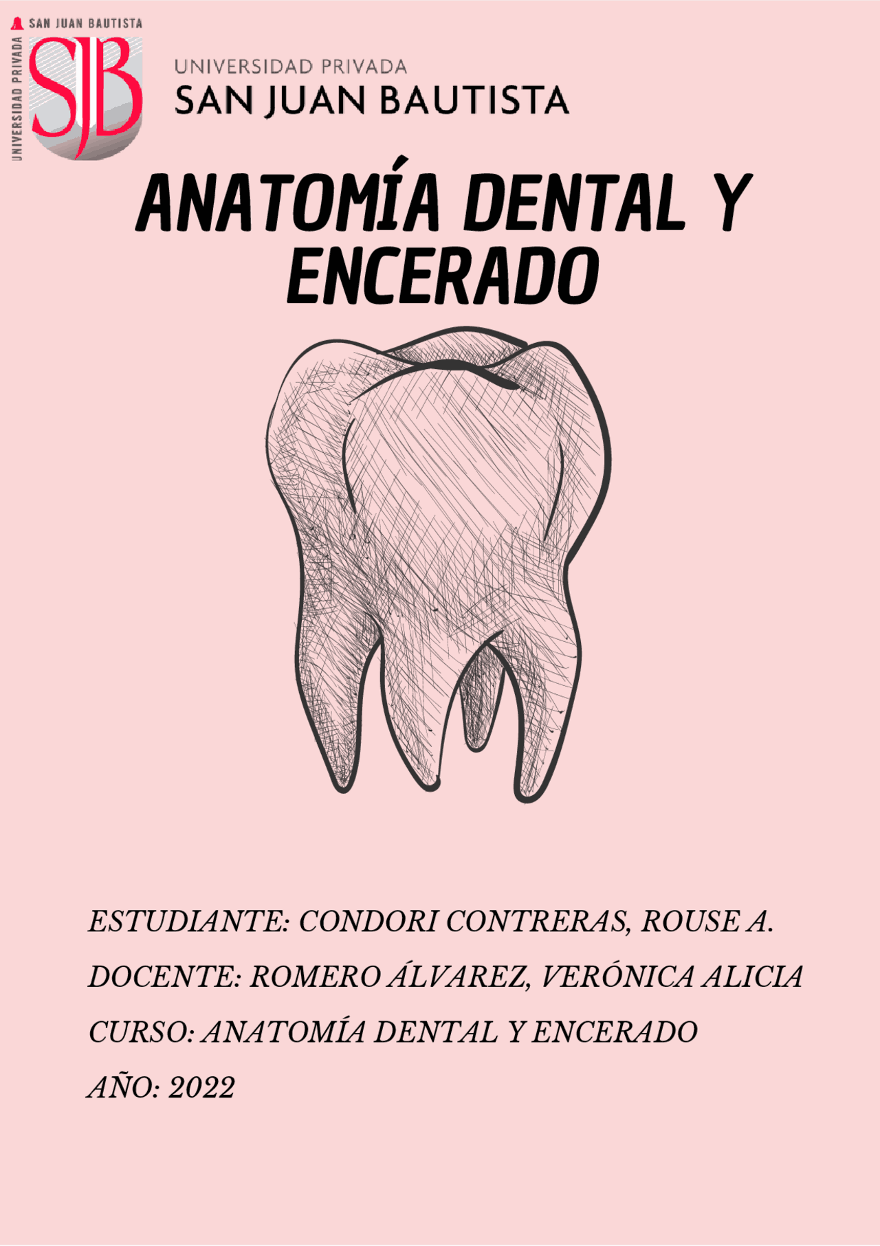 PRIMER PREMOLAR SUPERIOR E INFERIOR CON DETALLES | Apuntes de Anatomía ...
