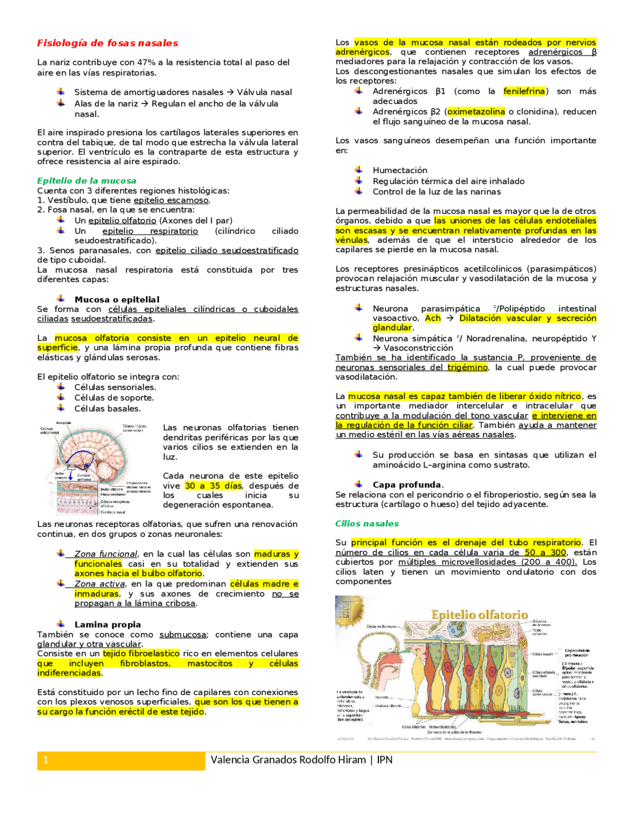 Documentos de estudio de la materia de otorrinologia | Resúmenes de ...