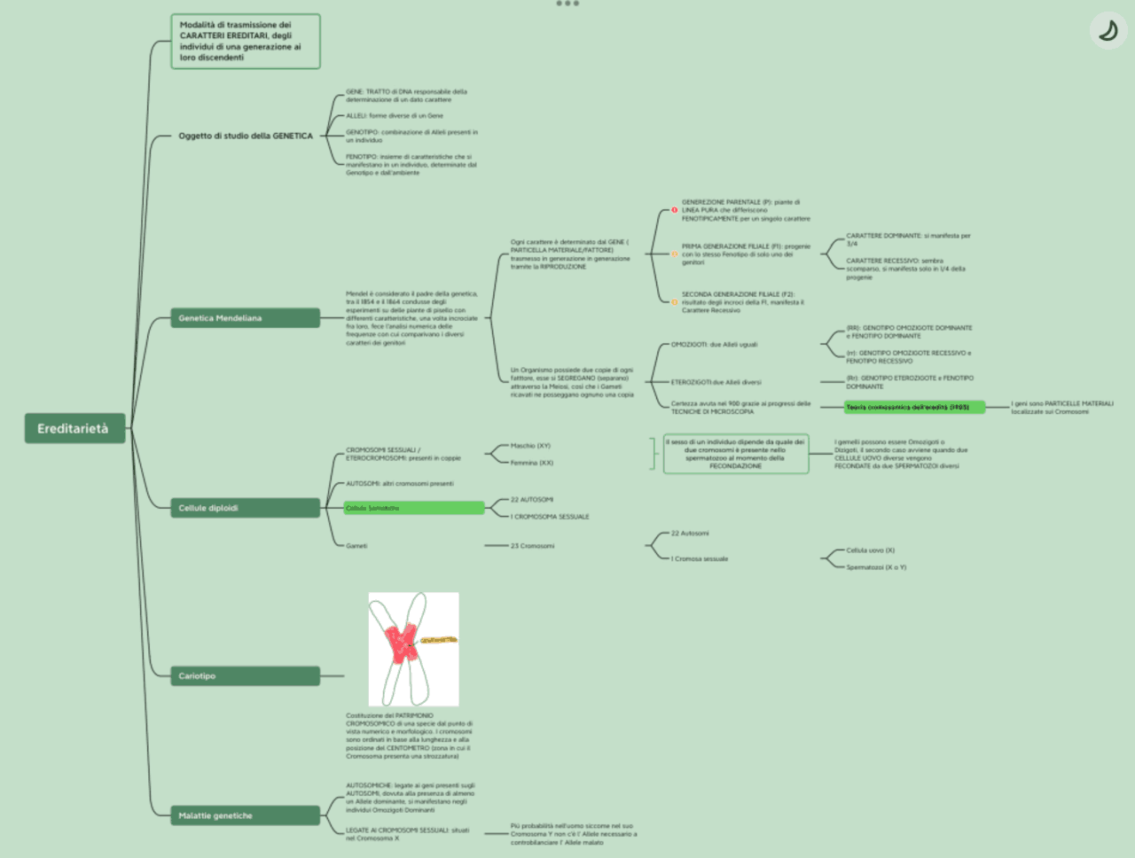 Ereditarietà Genetica Schemi E Mappe Concettuali Di Biologia Docsity