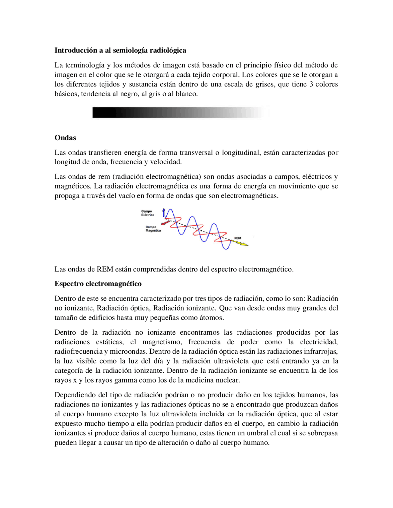 Semiología Radiológica Apuntes De Radiología Docsity