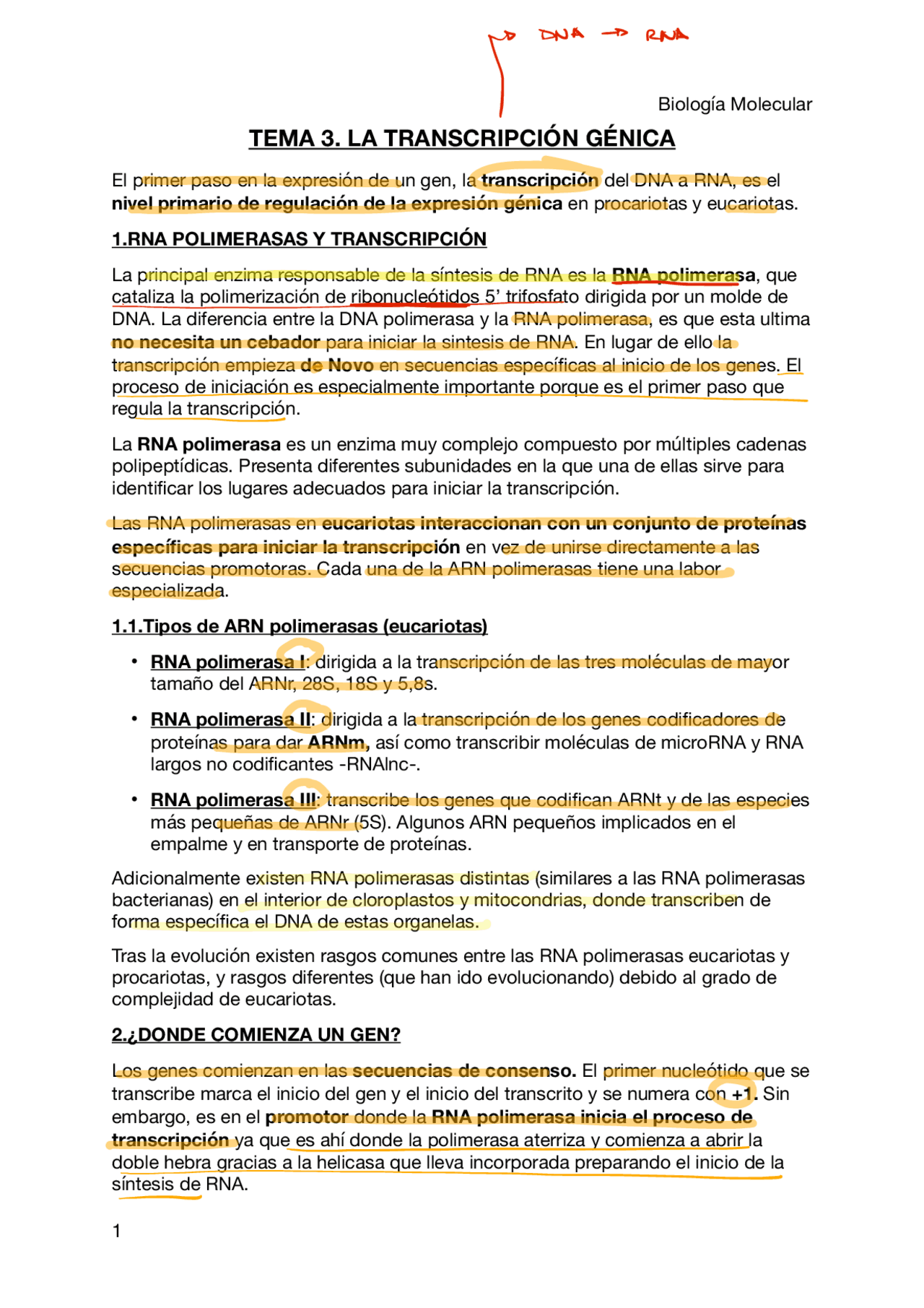 Apuntes Manolo Biomol Apuntes De Biología Molecular Docsity