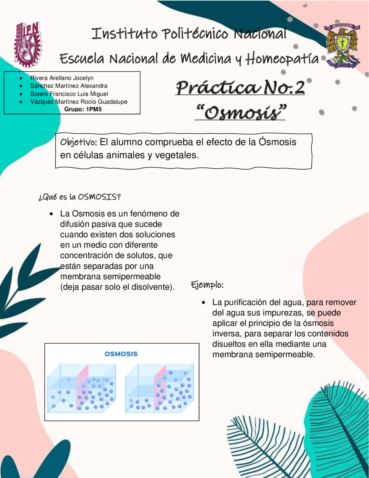 Practica 2 de bioquímica en la ENMH | Ejercicios de Bioquímica | Docsity