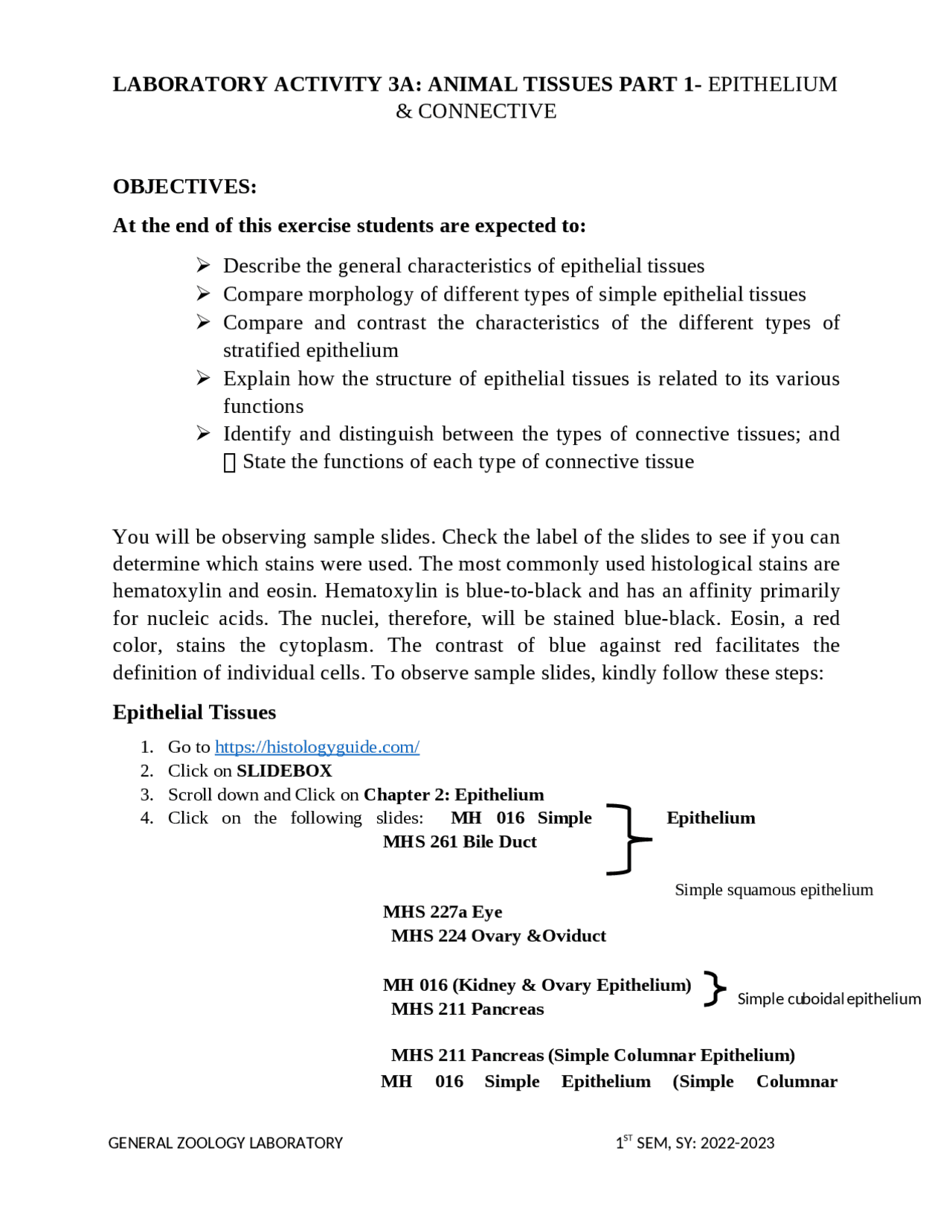 Epithelium Cells and Tissue | Lab Reports Zoology | Docsity