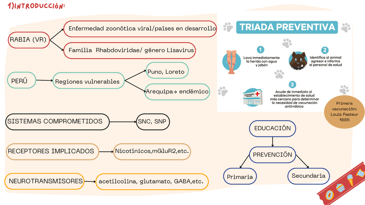 RABIA - CASO CLÍNICO | Diapositivas de Procesos Químicos | Docsity
