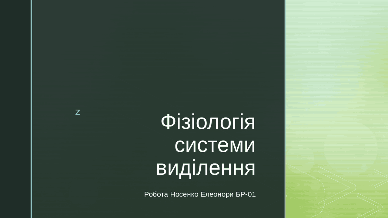 Фізіологія системи виділення Презентации Физиология Docsity