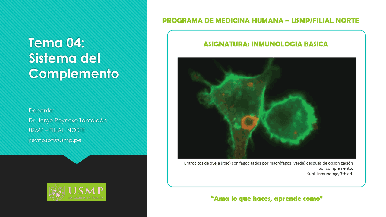 Diapositivas Inmunología Exposición Diapositivas De Inmunología Docsity