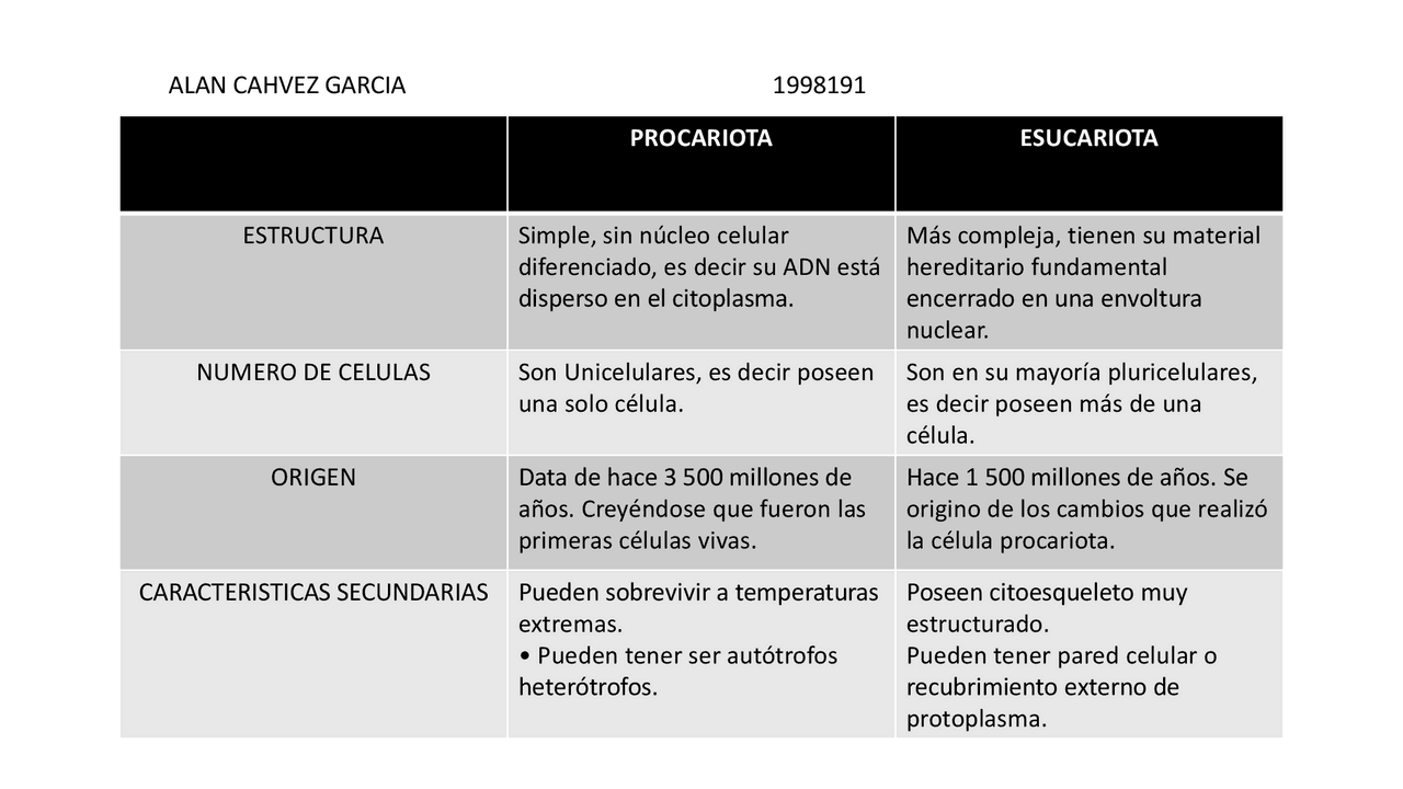 Cuadro Comparativo De Celulas Eucariota Y Procariota Ejercicios De