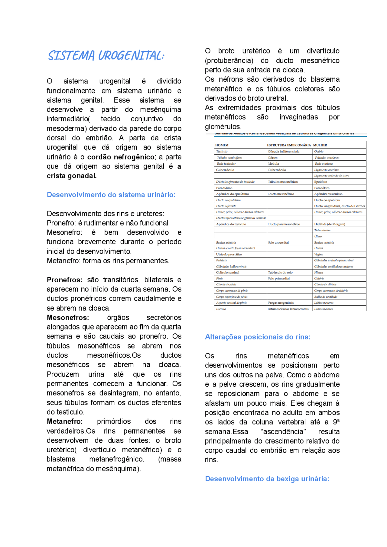 Sistema Urogenital Sistema Urinário E Genital Resumos Embriologia