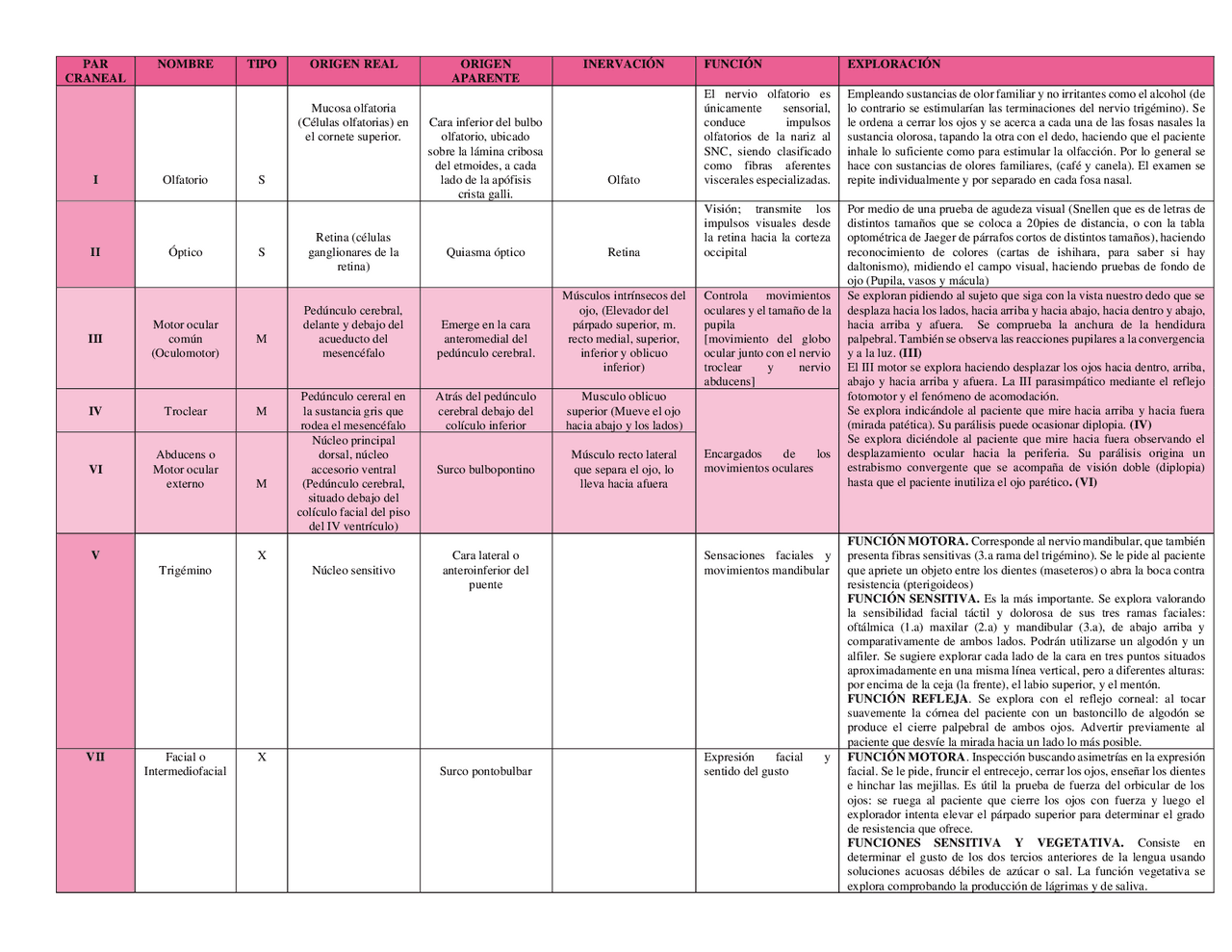 EvaluaciÓn De Los Pares Craneales Apuntes De Semiología Docsity