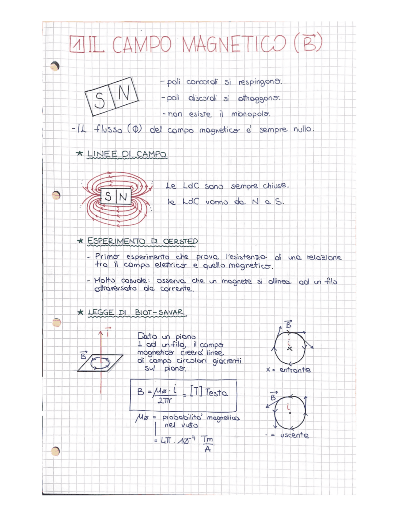 Fisica - Magnetismo - Liceo Scientifico classe V | Schemi e mappe concettuali di Fisica | Docsity