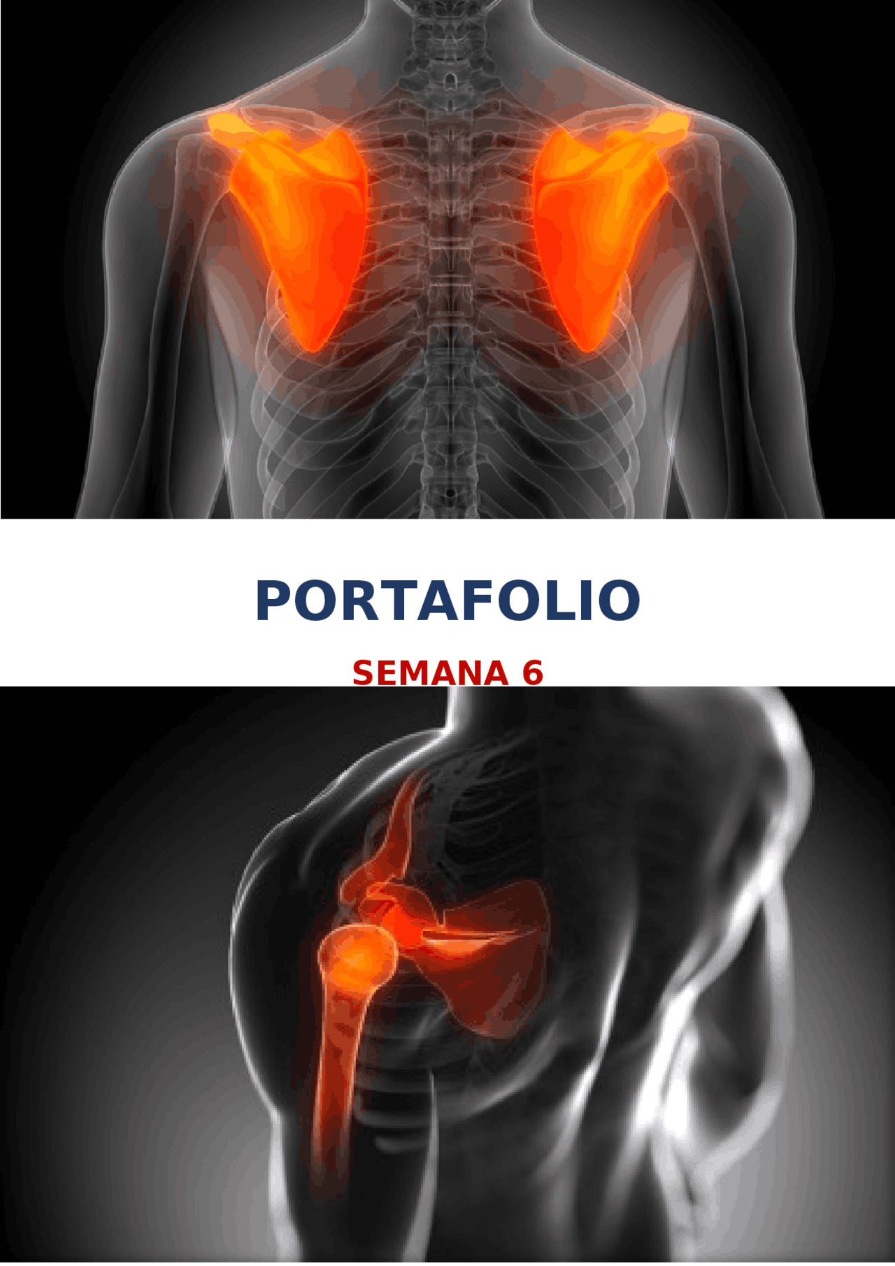 Huesos Del TÓrax Y Miembros Superiores Resúmenes De Anatomía Docsity
