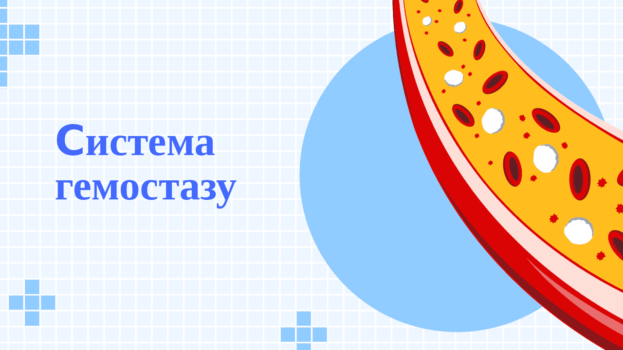 Презентація на тему Гемостаз Презентации Патологическая анатомия