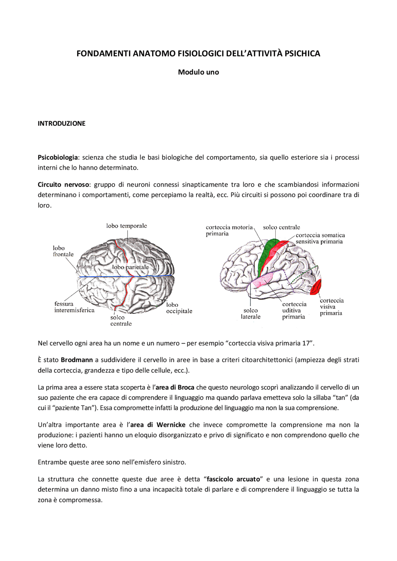 Dispende primo modulo | Dispense di Fondamenti Anatomo-fisiologici dell'Attività Psichica | Docsity