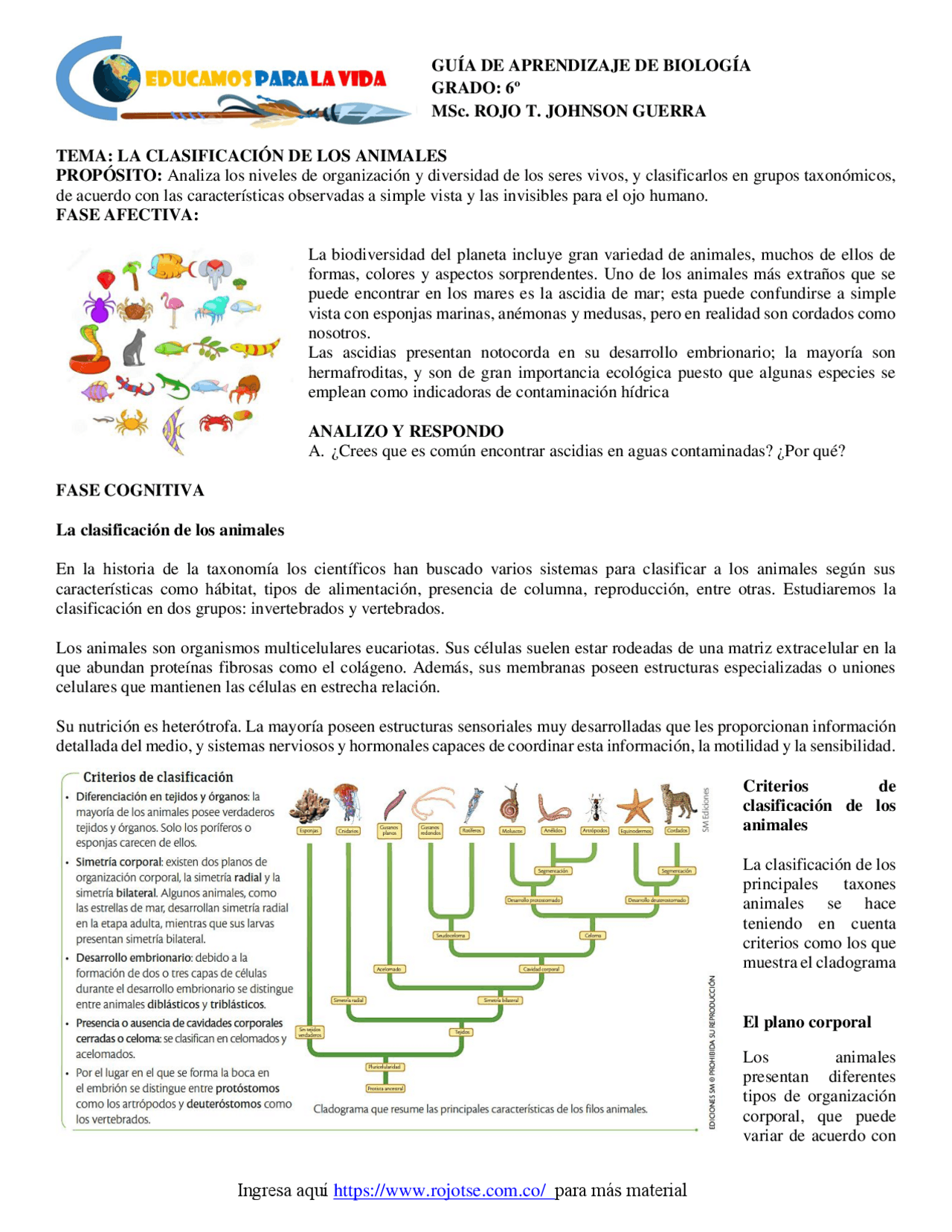 Guía de aprendizaje de biología: La clasificación de los animales ...