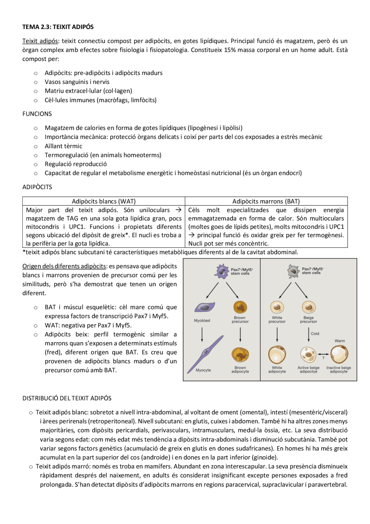 Apuntes primeros bloques de regulacion del metabolismo | Apuntes de ...