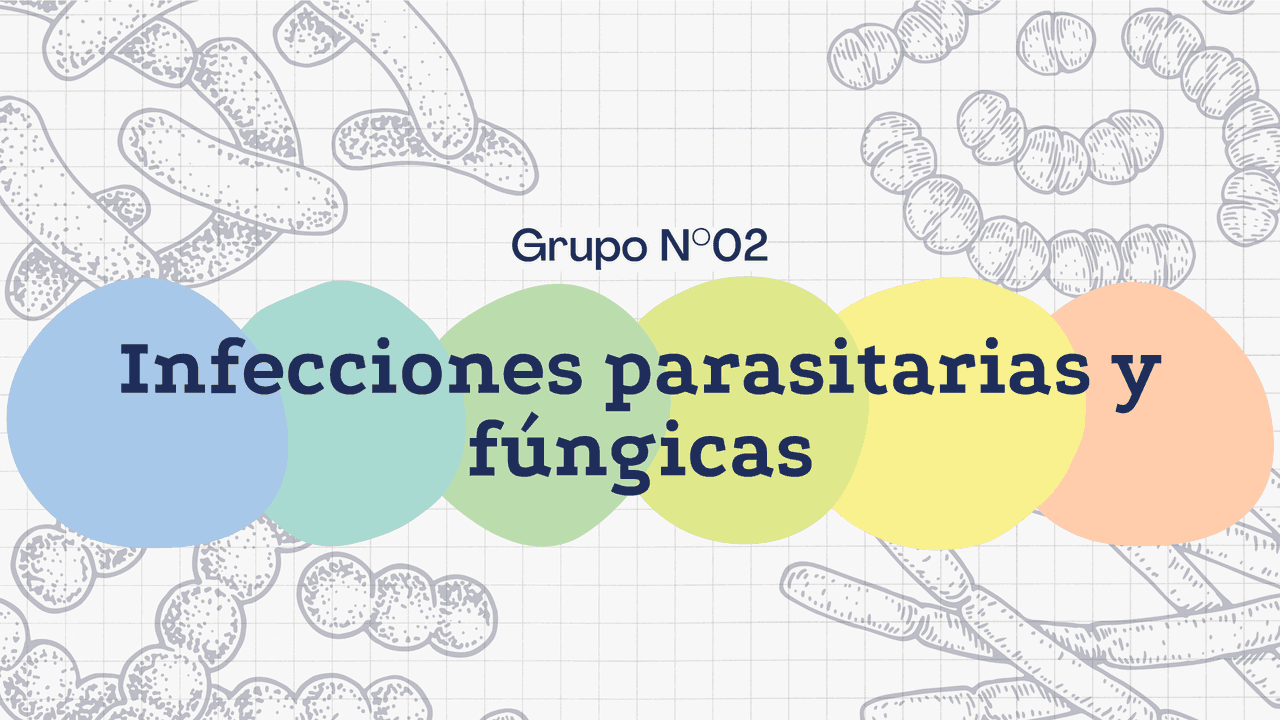 Infecciones Parasitarias Esquemas Y Mapas Conceptuales De Inmunología