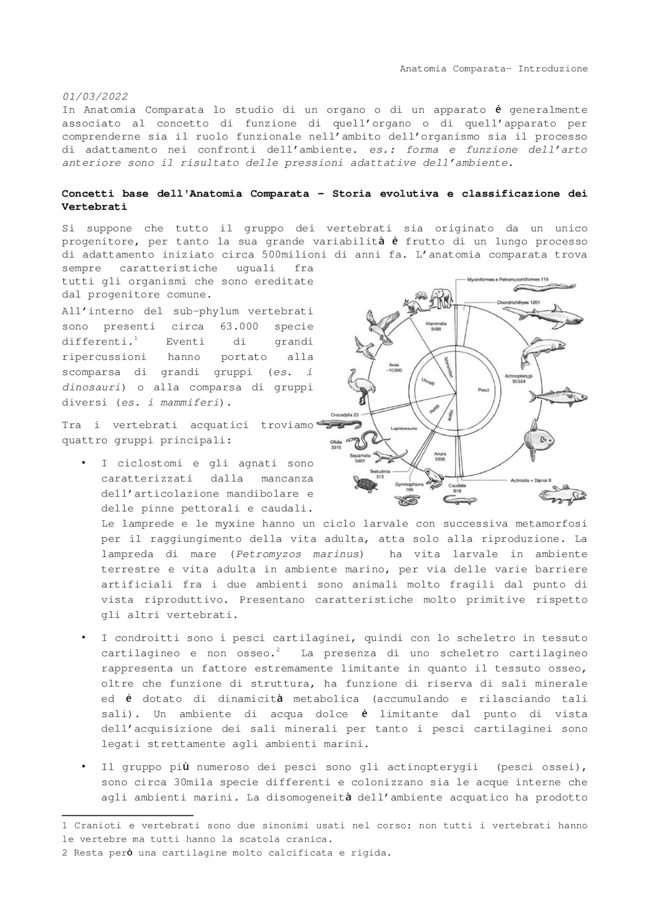 Anatomia Comparata 2022 Sbobinature Di Anatomia Docsity