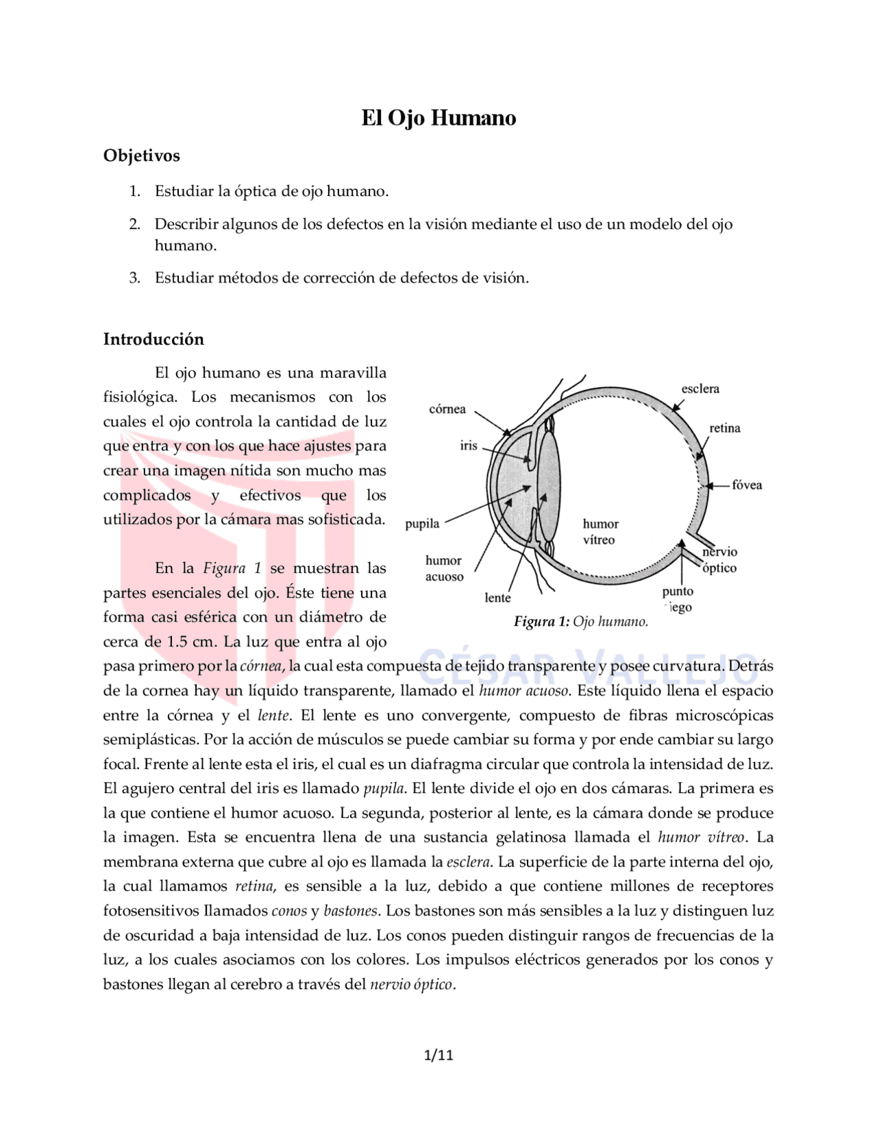 Guia De Laboratorio SesiÓn 8 De Biofisica Apuntes De Biofísica Docsity