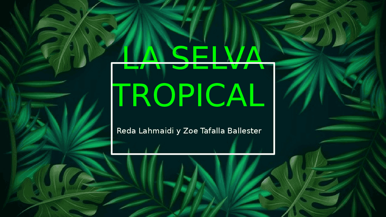 La selva tropical , fauna y flora características | Slides Biology ...