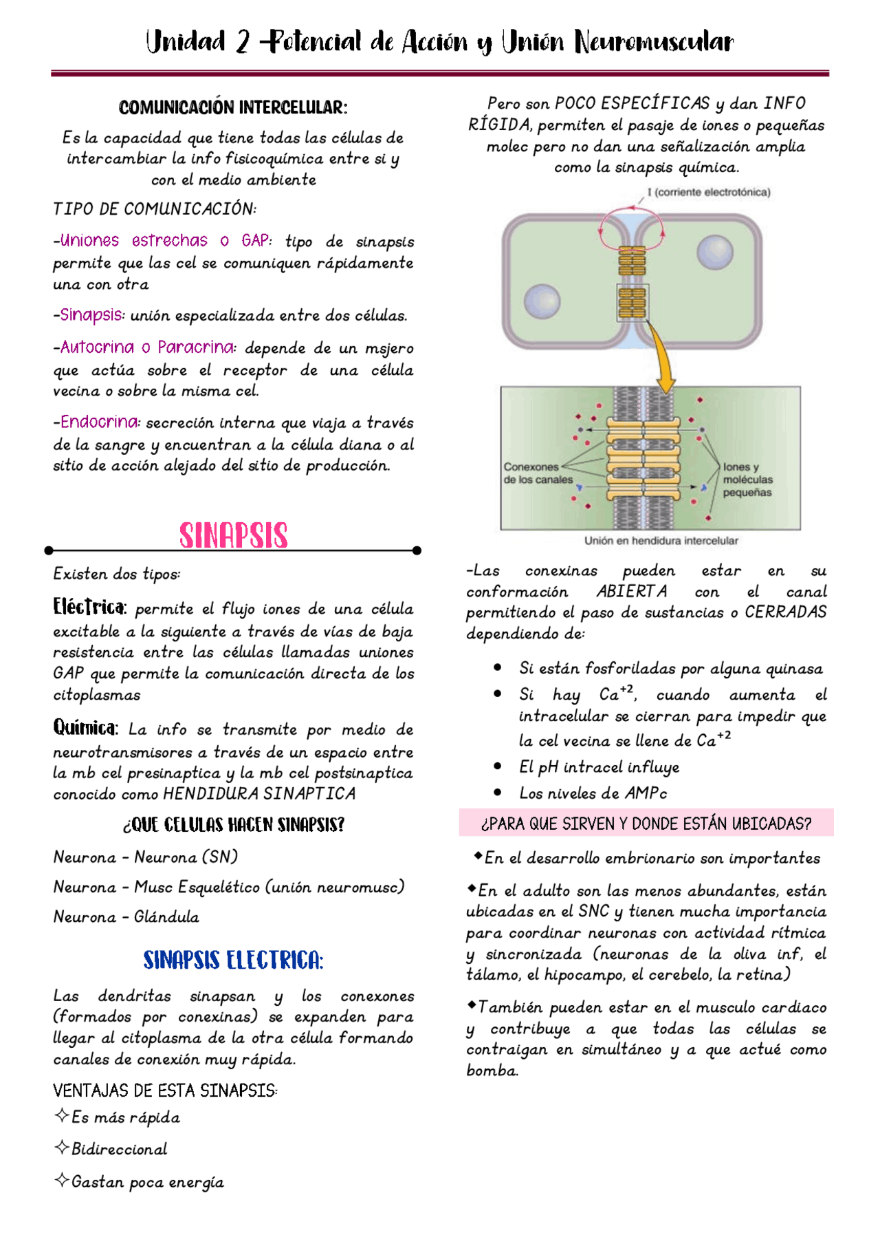 Psicología En Neurología Apuntes De Neurología Docsity
