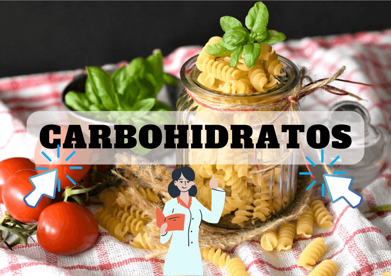 Las Macromoléculas Los Lípidos Los Carbohidratos Las Proteinas