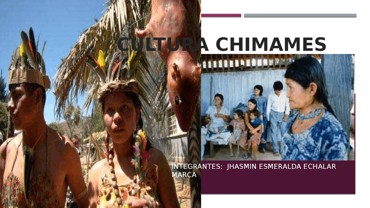 Etnia Chimanes de Bolivia | Diapositivas de Cultura y Sociedad | Docsity