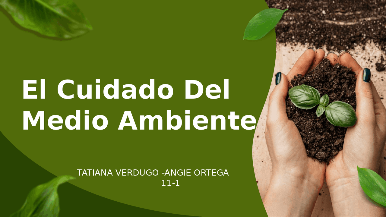 Cuidado medio ambiente | Diapositivas de Química | Docsity