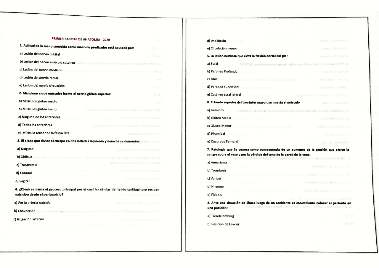 Resumenes De Anatomía Transcripciones De Biología Docsity