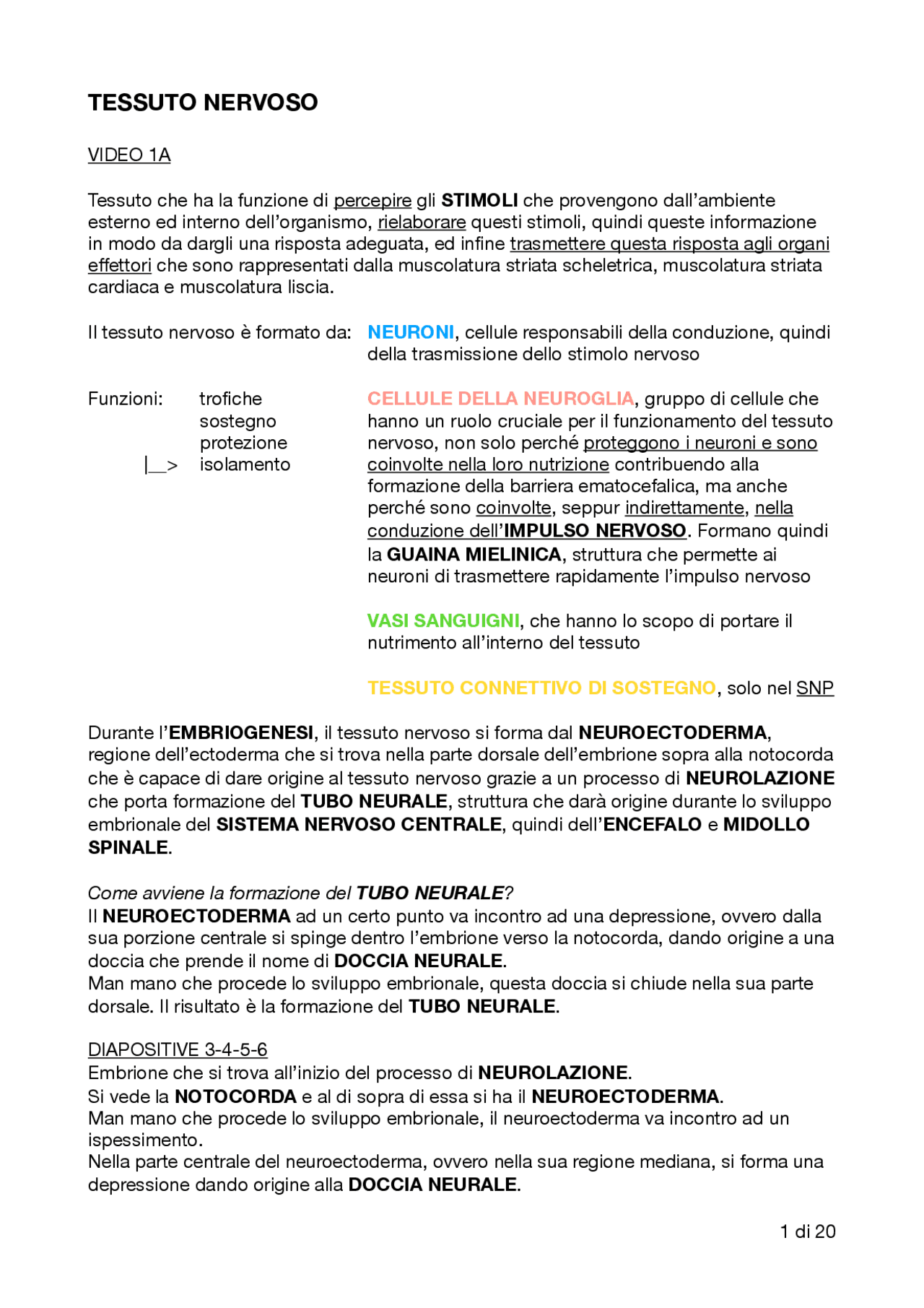 Tessuto Nervoso Caratteristiche Appunti Di Citologia Docsity