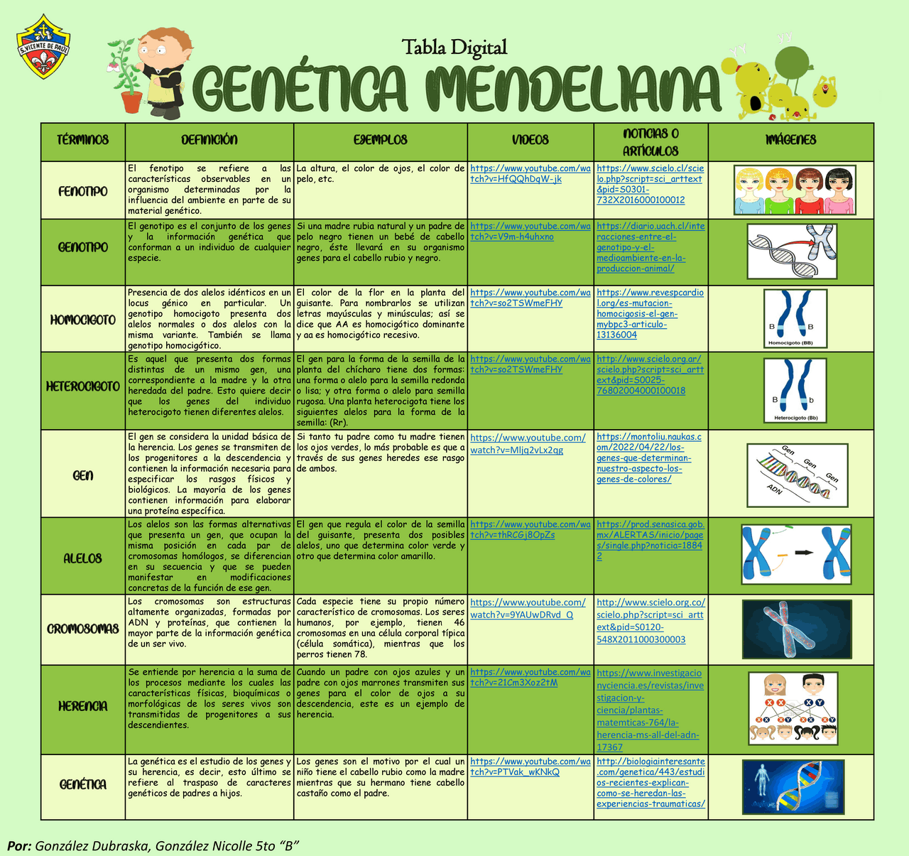Ejemplo De Fenotipo T 17 Genetica Teoría Genética T 17: