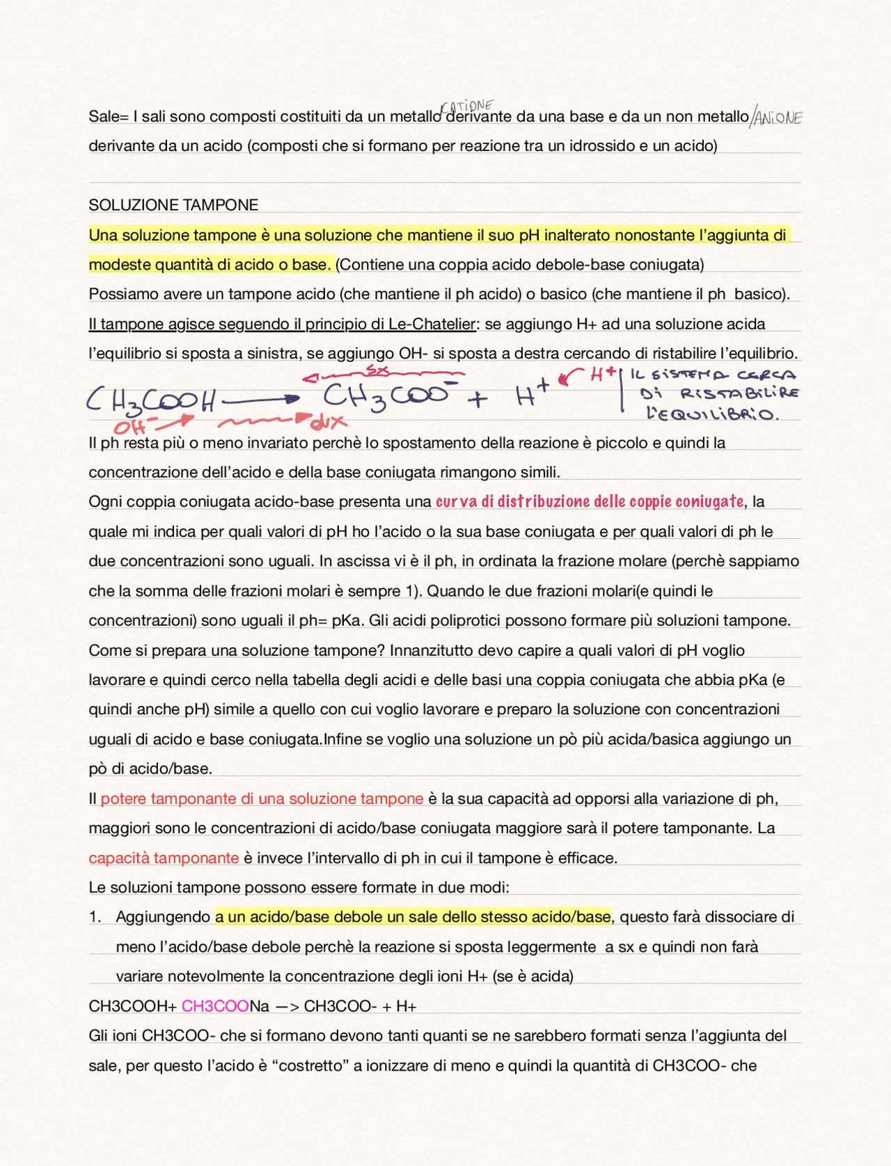 Soluzioni tampone, titolazioni e solubilità | Appunti di Chimica Inorganica | Docsity