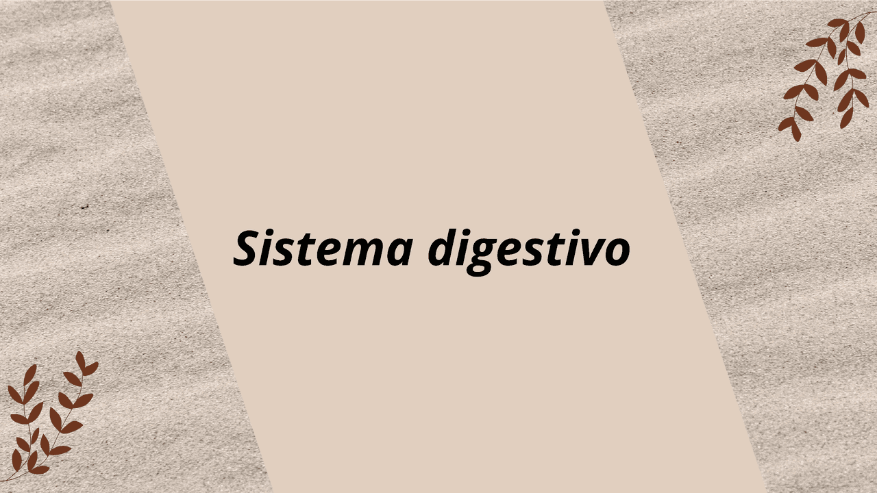 Sistema digestivo funcionamiento y anatomía | Diapositivas de ...