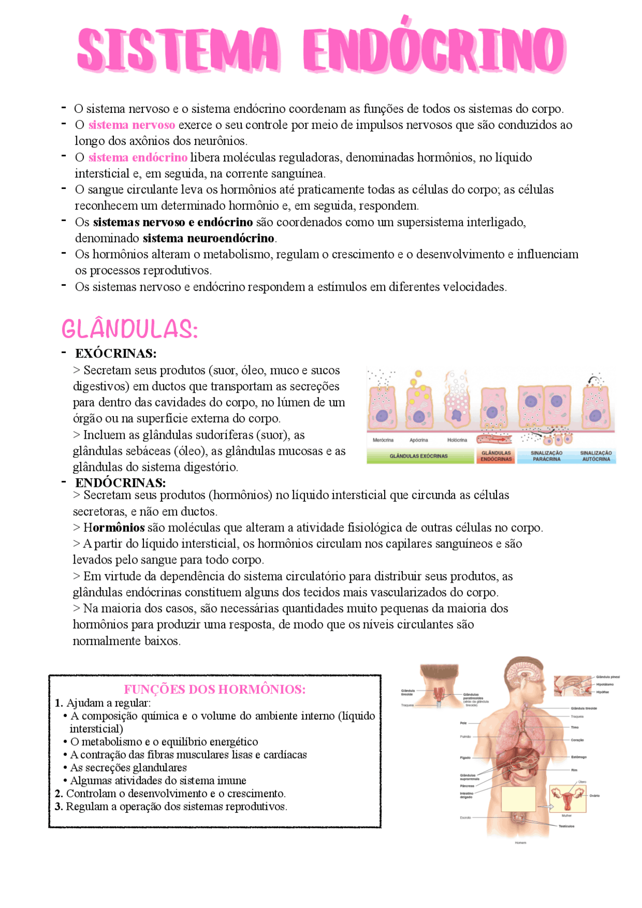Resumo Sobre Sistema Endócrino Resumos Anatomia Docsity