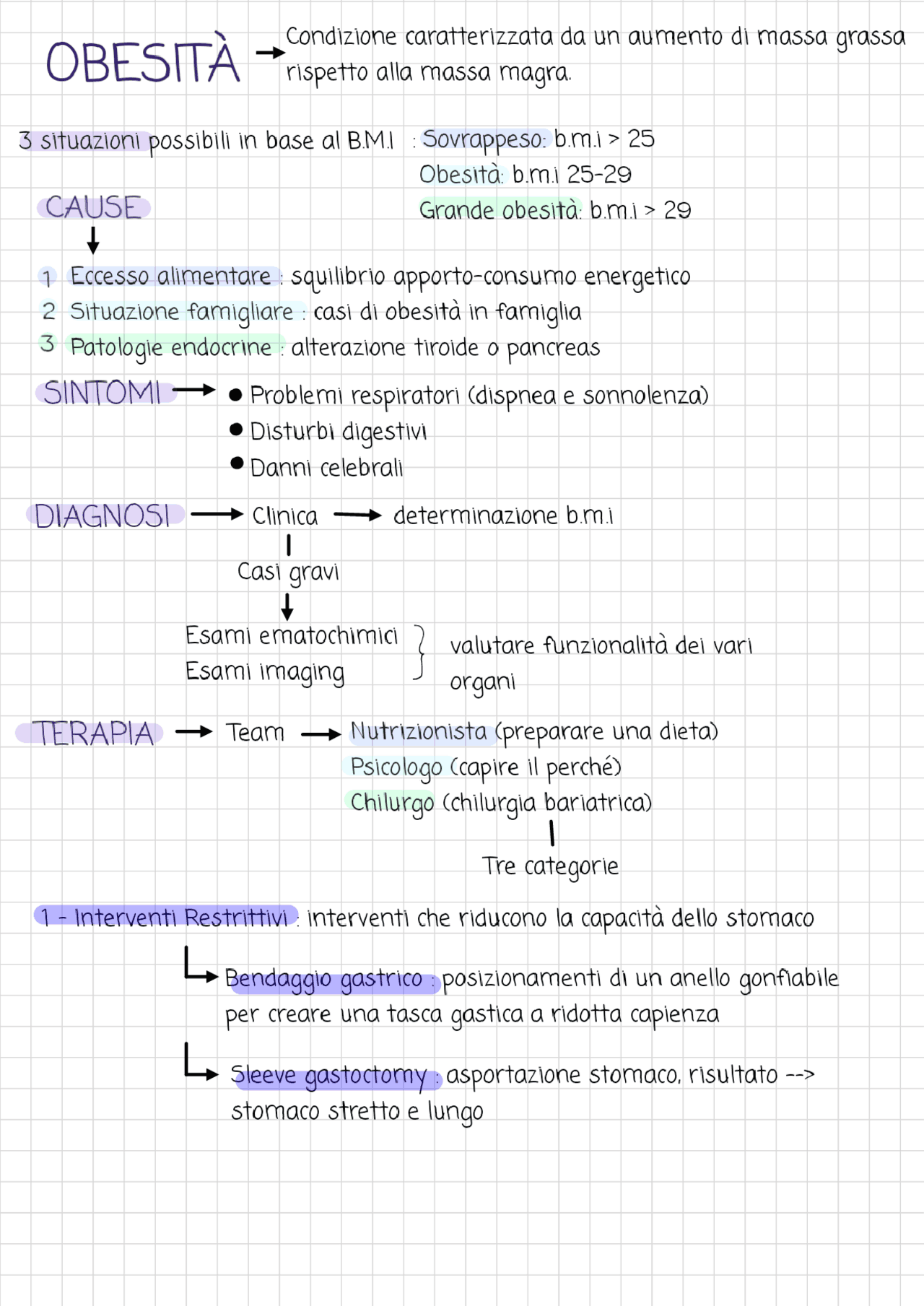 Obesità Schemamappa Concettuale Schemi E Mappe Concettuali Di