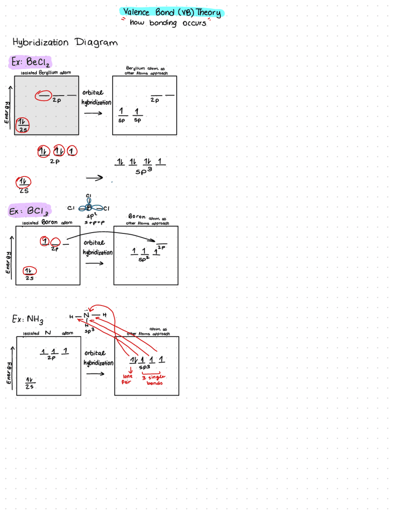 Bio Exam Notes 3 Mindmaps Schemes And Mind Maps Biology Docsity