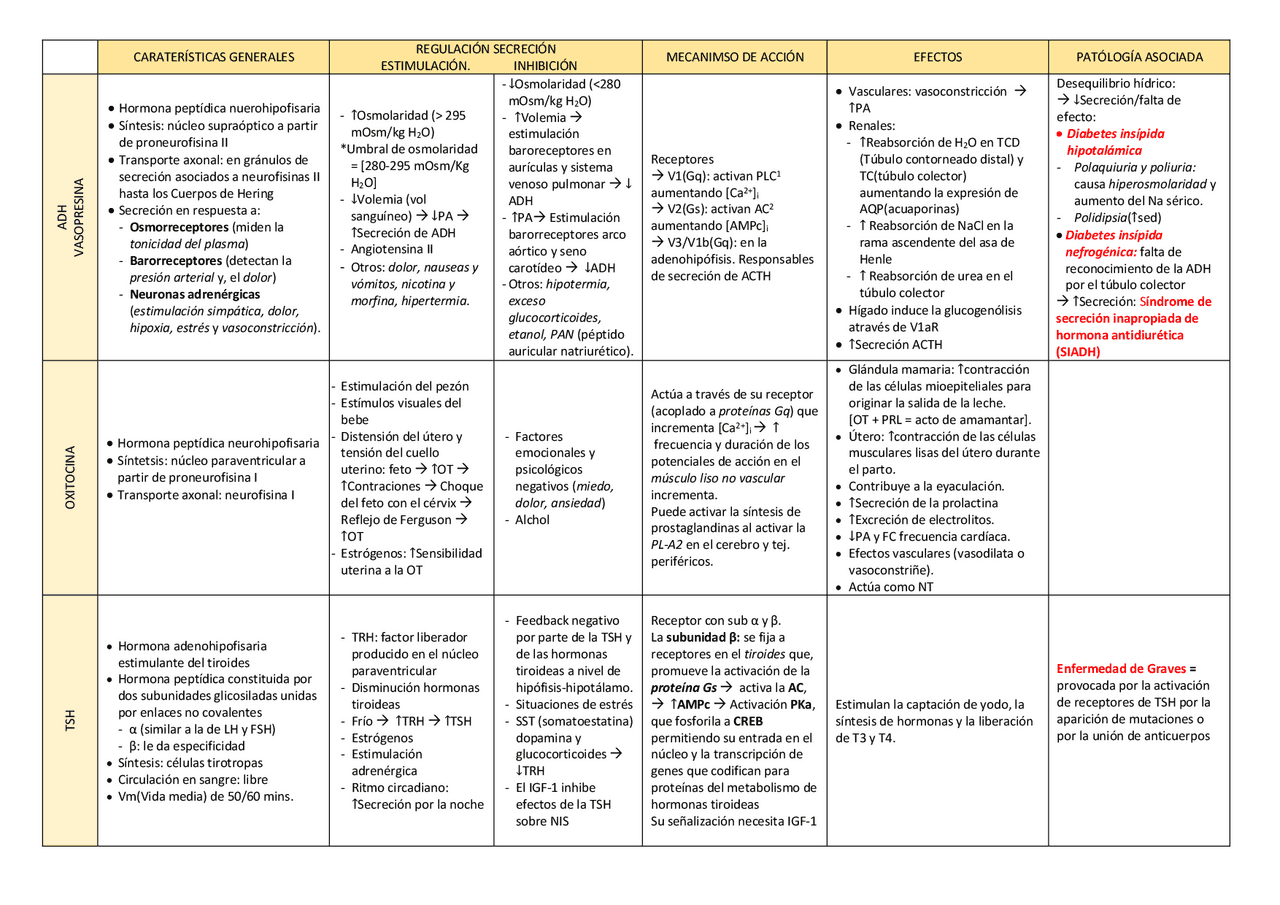Tabla Resumen De Las Hormonas Del Sistema Endocrino Esquemas Y Mapas
