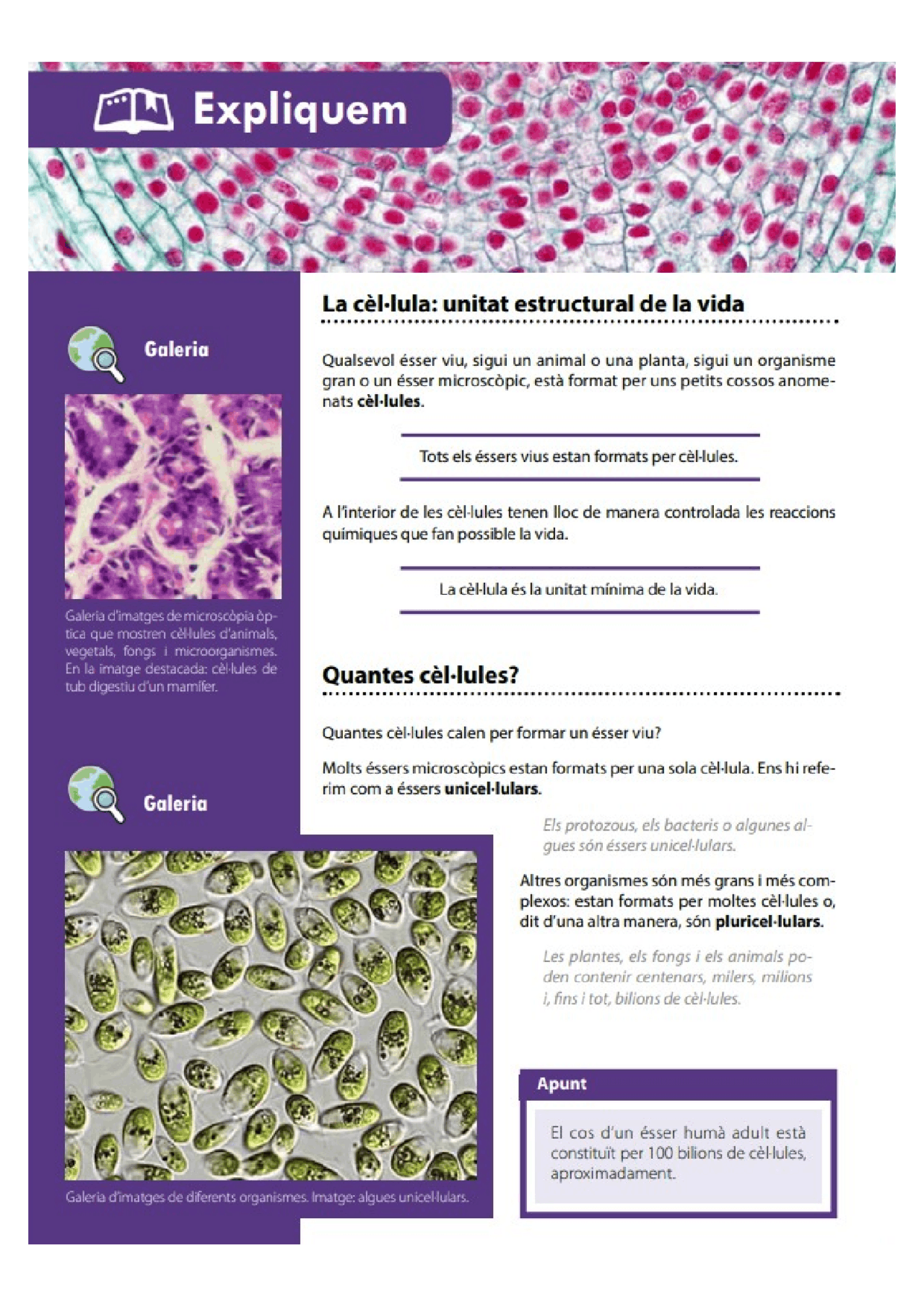 Biología La Célula Resúmenes De Biología Docsity
