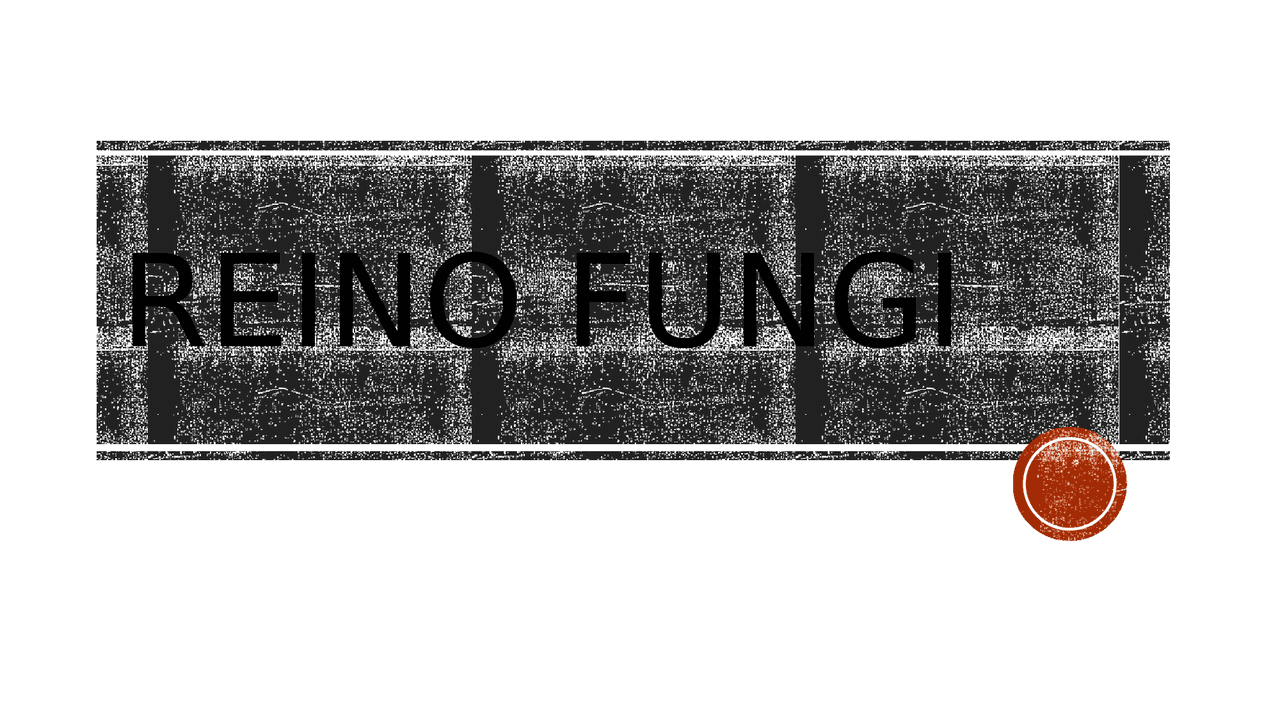 Reino Fungi Características Gerais Slides Biologia Docsity