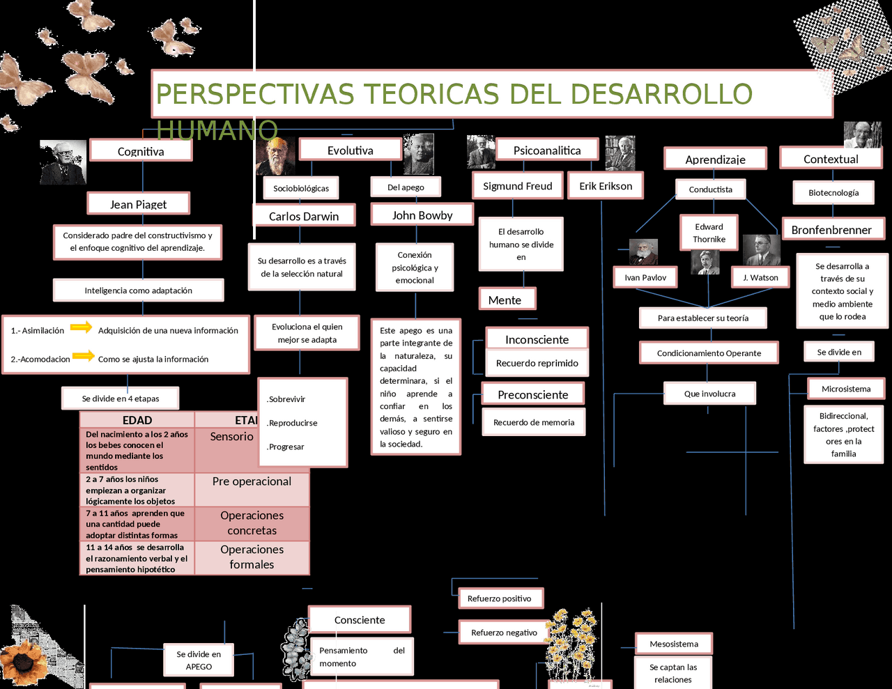 MAPA CONCEPTUAL SOBRE LA PERSPECTIVAS TEÓRICAS DEL DESARROLLO HUMANO ...
