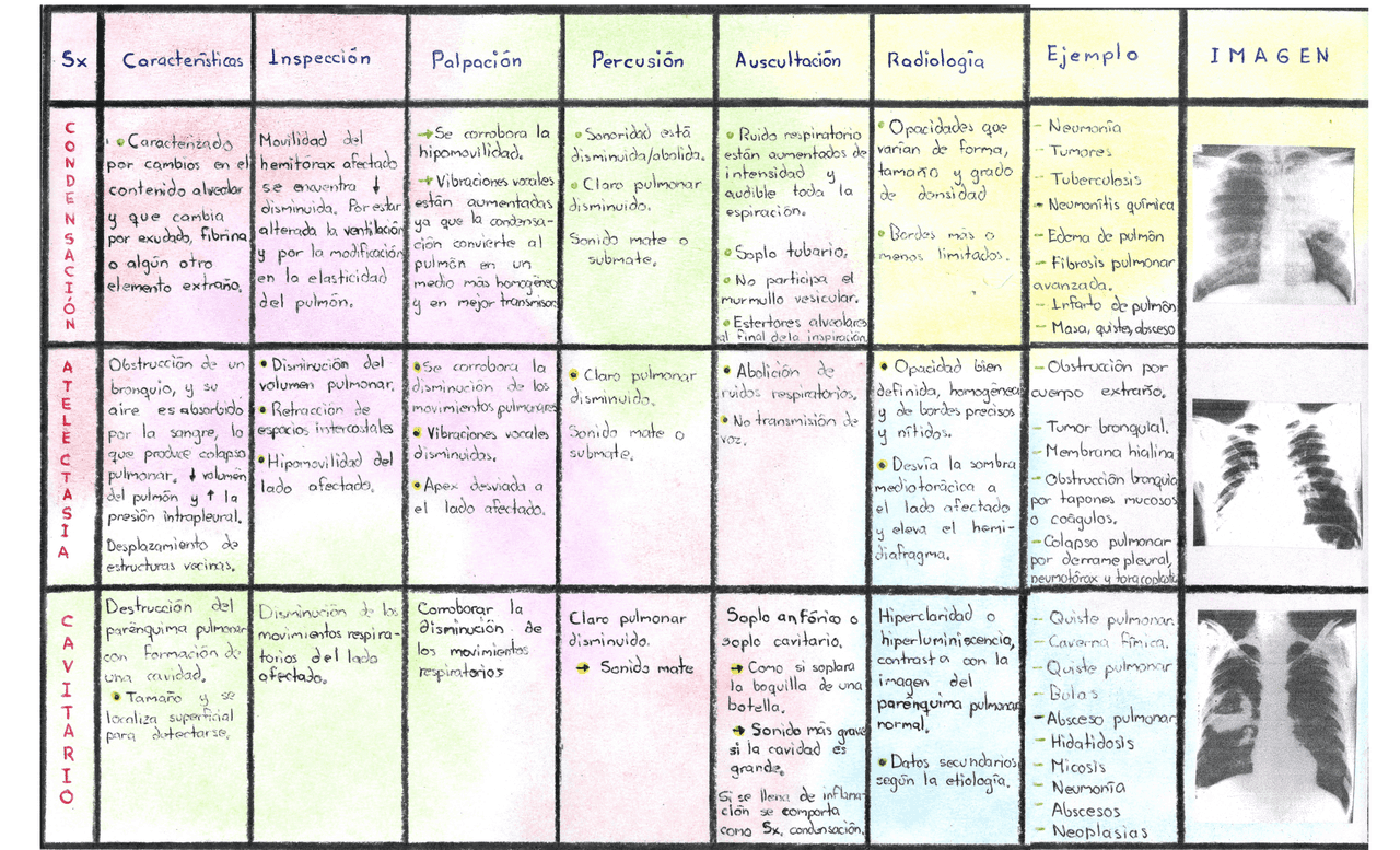 Síndromes Pleuropulmonares Esquemas Y Mapas Conceptuales De