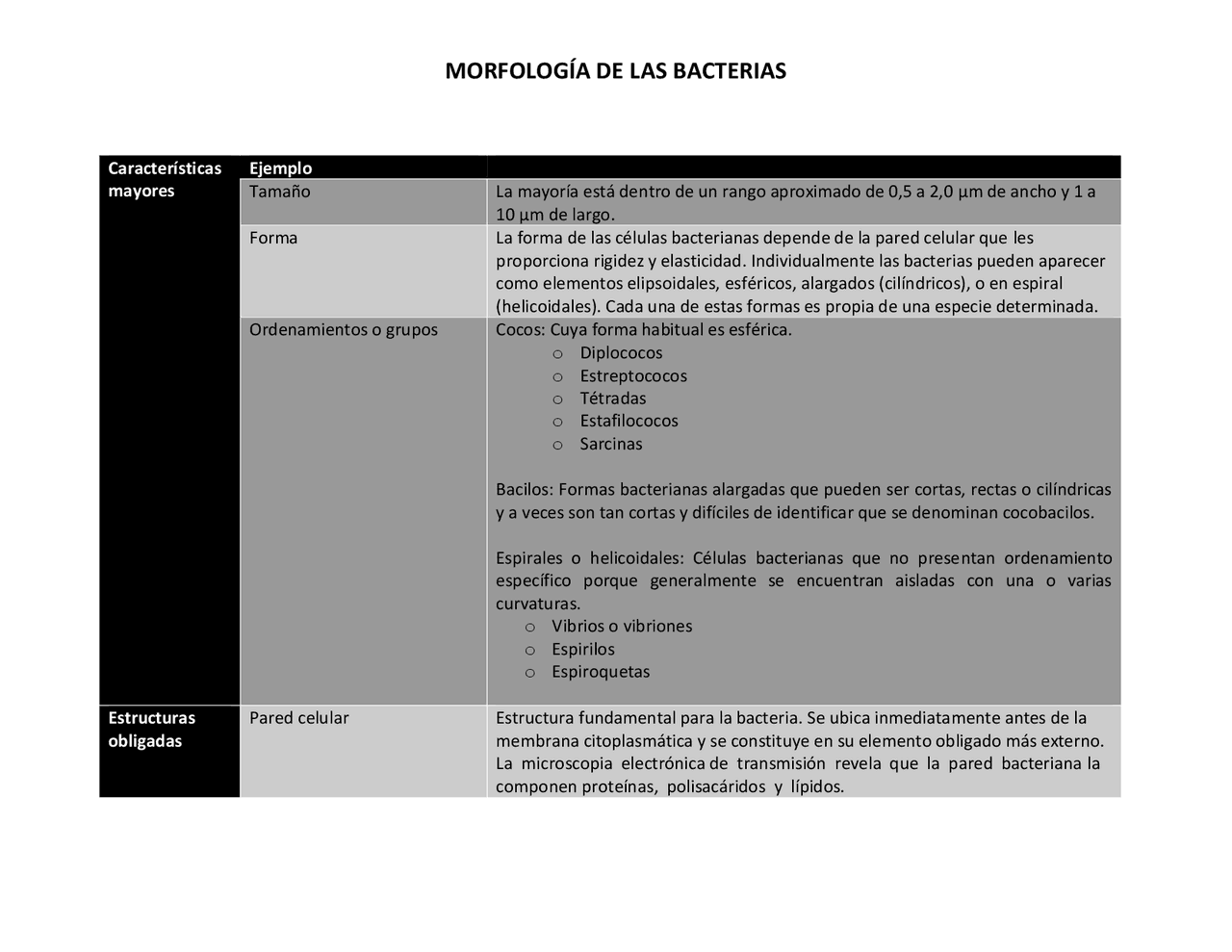 Morfología De Las Bacterias Apuntes De Microbiología Docsity