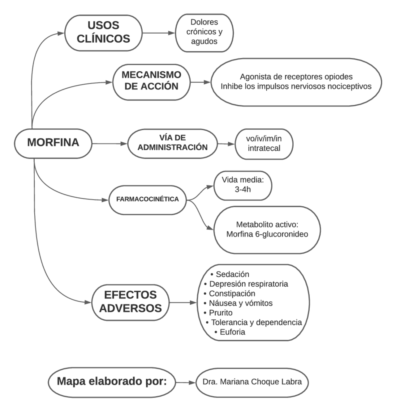 Mapa Acerca De Morfina Apuntes De Farmacología Docsity