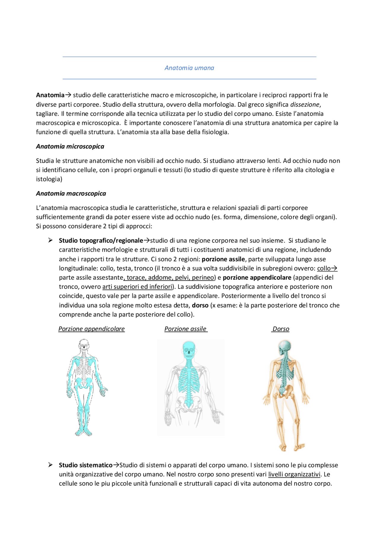 Anatomia umana- scheletro assile | Appunti di Anatomia | Docsity