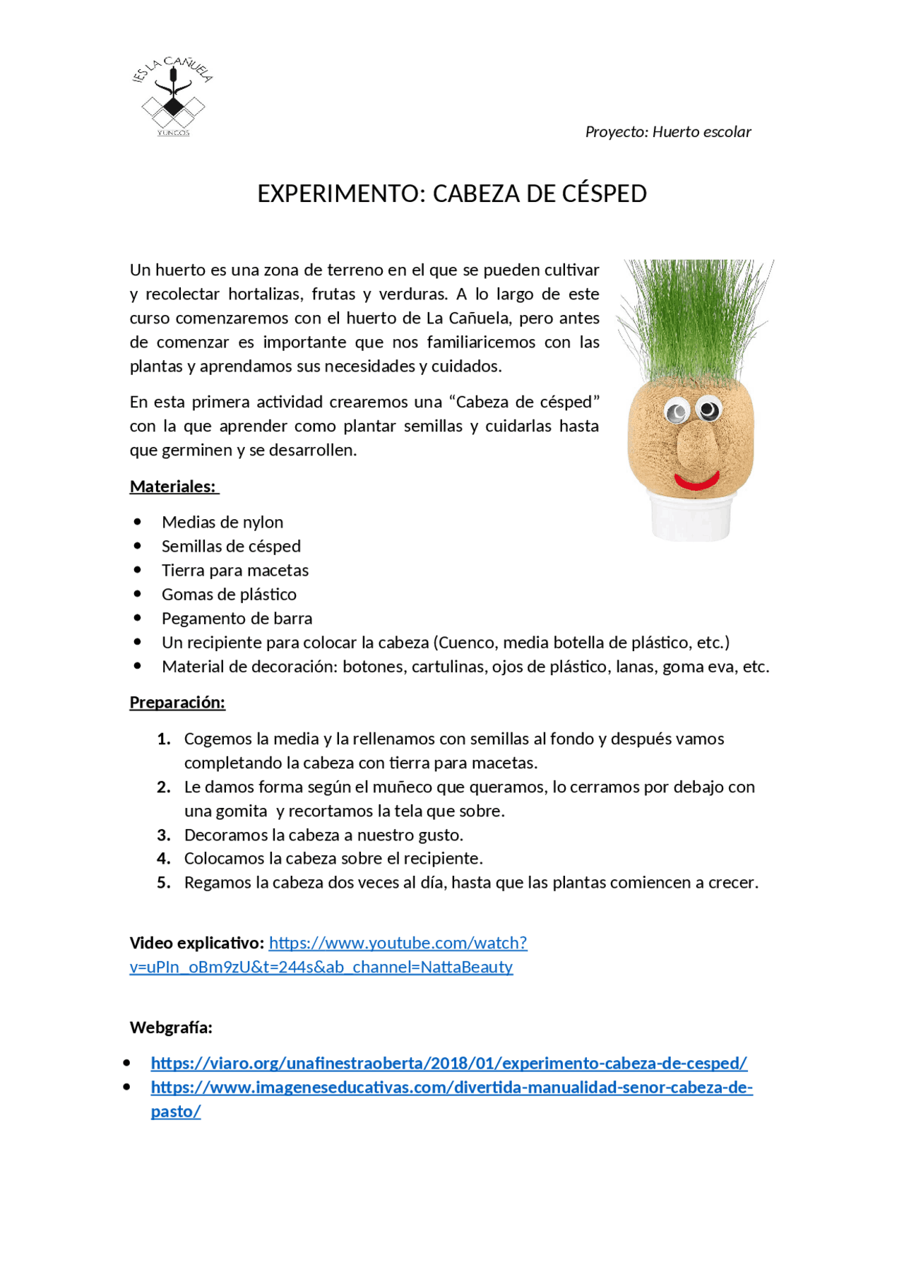 Experimento cabeza de césped | Guías, Proyectos, Investigaciones de ...