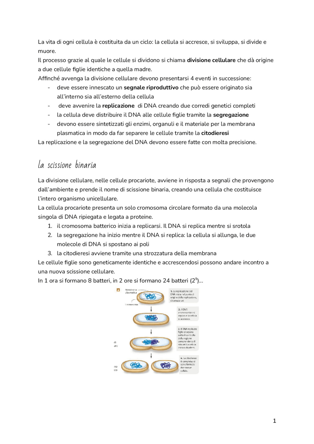 La Riproduzione Delle Cellule Appunti Di Biologia Docsity