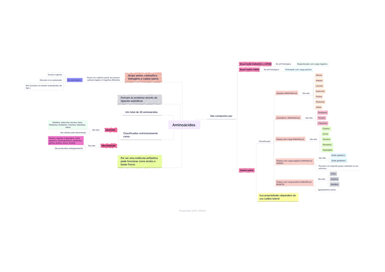 Aminoácidos mapa mental | Esquemas Bioquímica | Docsity