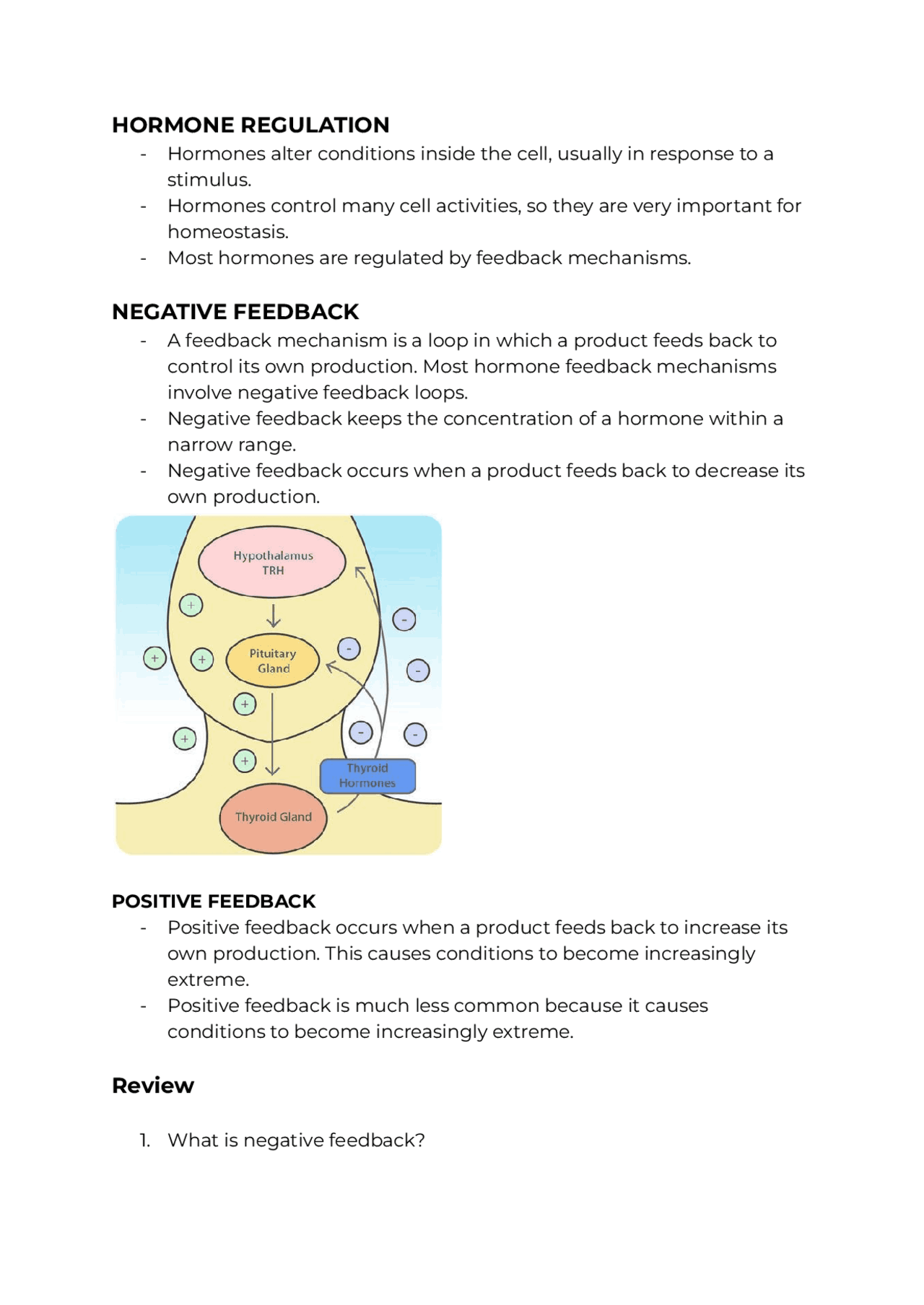 Hormone regulation biology | Esquemas y mapas conceptuales de Biología ...