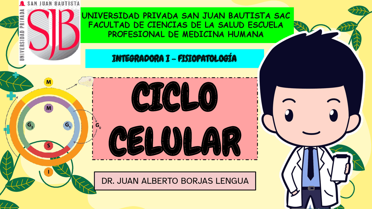 Pdf Resúmenes De Fisiopatología Docsity