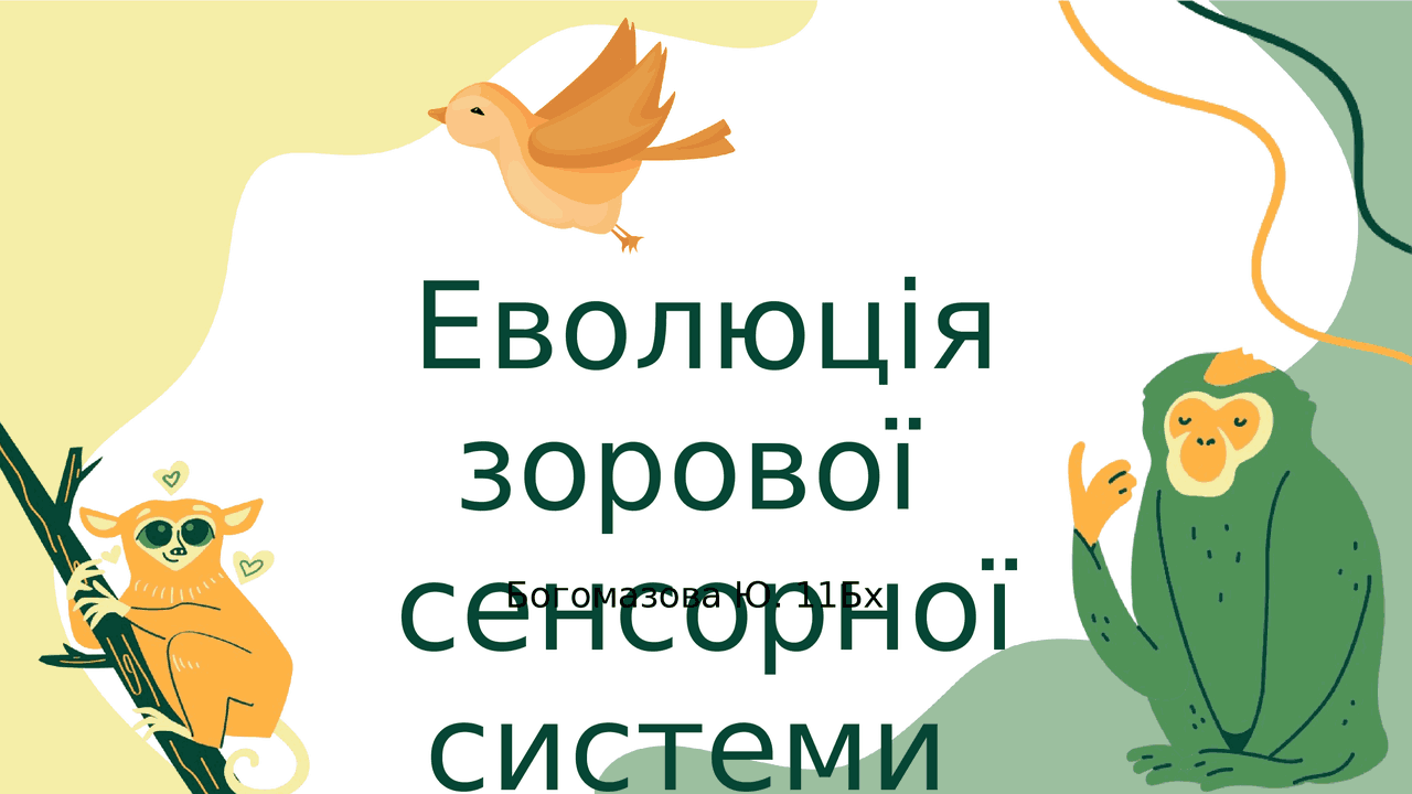 Еволюція зорової сенсорної системи Презентации Биология Docsity
