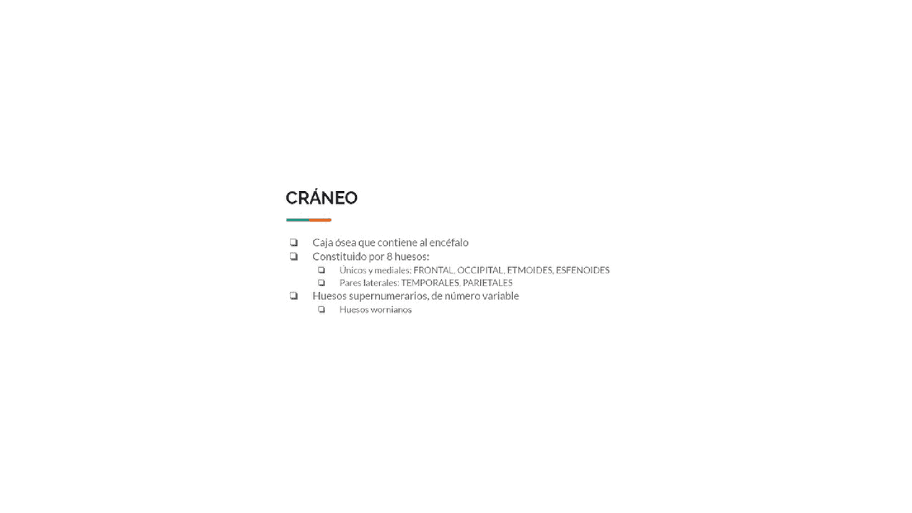 Informe Anatomia Practica Sesion 4 Diapositivas De Anatomía Docsity
